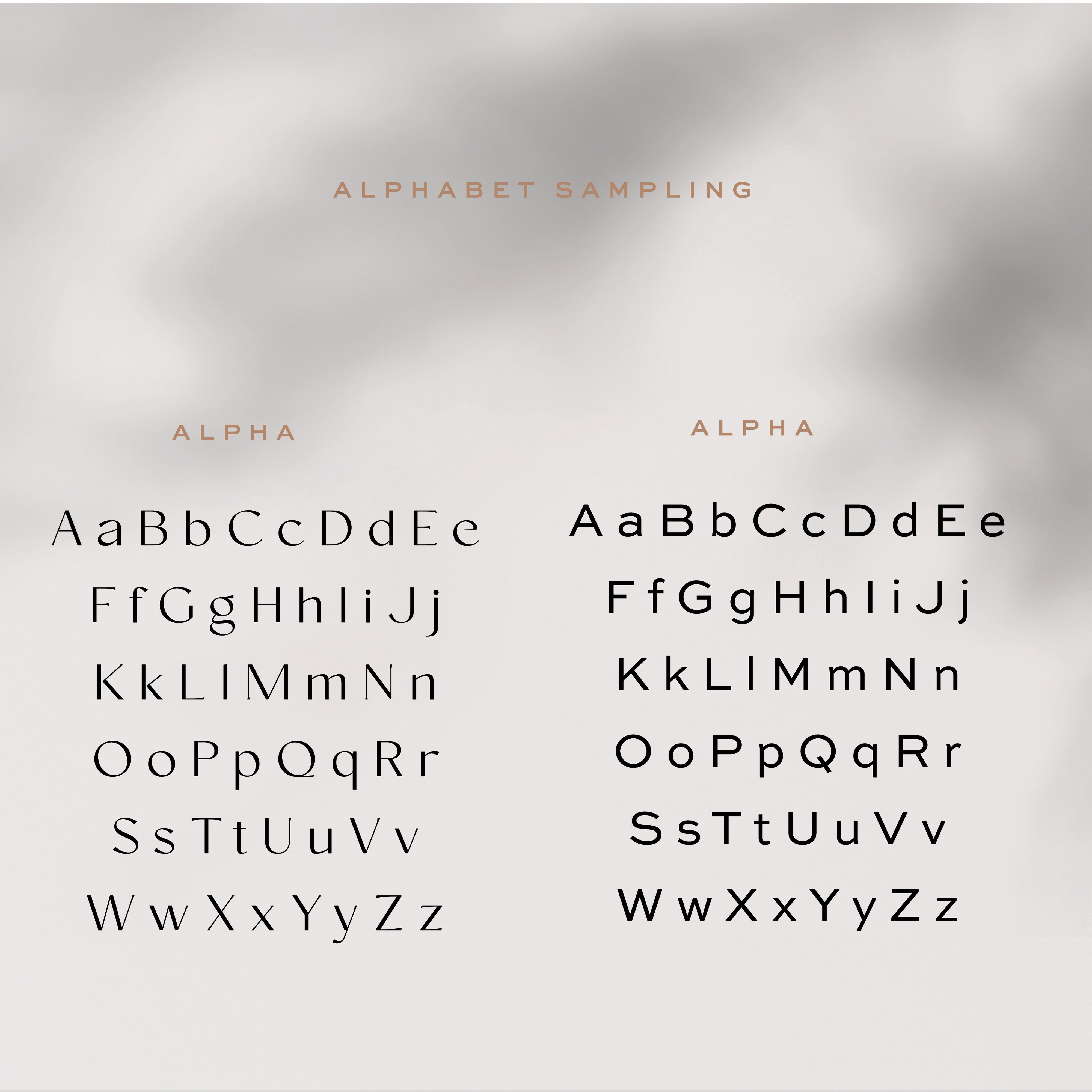 Officiant Books – Blush Paper Co